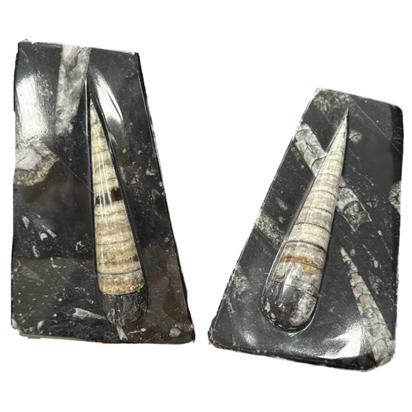 unbranded | Other | Orthoceras Ammonite Fossil Bookends Seashell ...